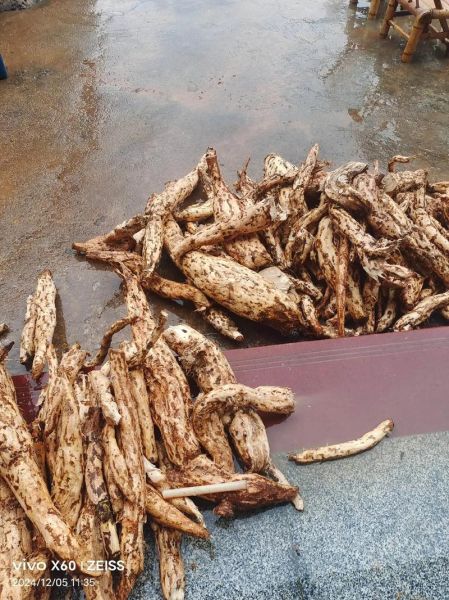 葛根粉价格2020最新价格_多少钱一斤-第3张图片-山城妙识