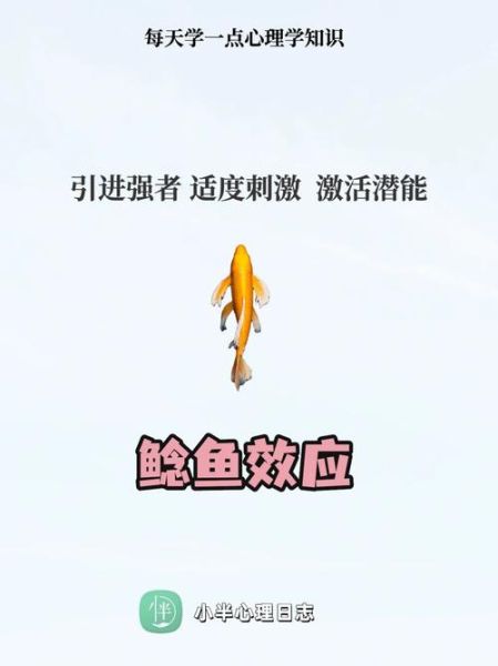 鲶鱼效应的教育启示_如何激发学生潜能-第3张图片-山城妙识