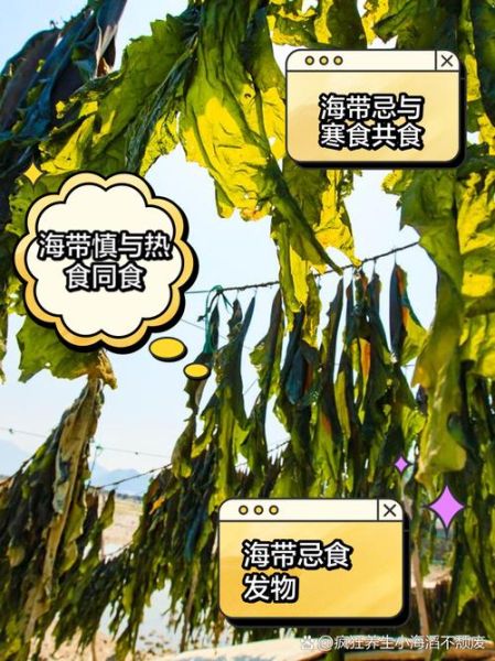 吃海带有什么好处和禁忌_哪些人不能吃海带-第2张图片-山城妙识