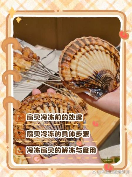 冷冻扇贝肉怎么处理_解冻后怎么清洗-第2张图片-山城妙识 冷冻扇贝肉怎么处理_解冻后怎么清洗-第2张图片-山城妙识