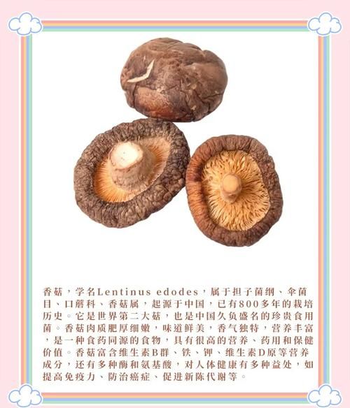 花菇图片大全_如何挑选优质花菇-第1张图片-山城妙识