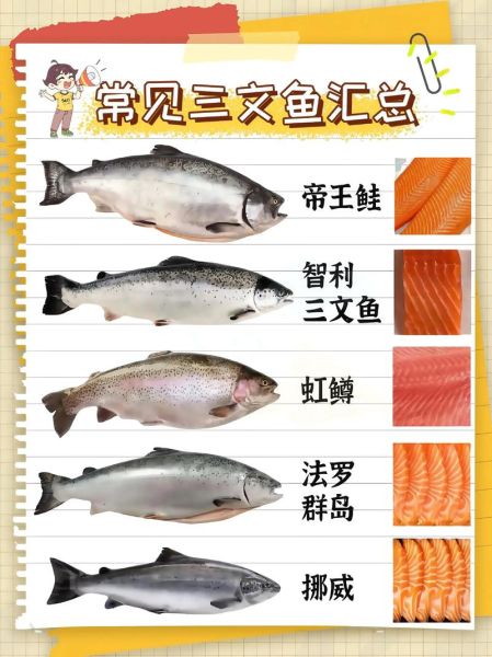 三文鱼一次吃多少合适_孕妇能吃多少三文鱼-第2张图片-山城妙识