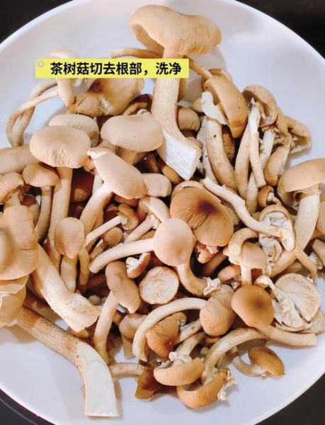 干的茶树菇怎么做好吃_茶树菇营养价值高吗-第1张图片-山城妙识