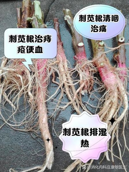 野苋菜根煮水喝的功效与作用_野苋菜根水能天天喝吗-第2张图片-山城妙识 野苋菜根煮水喝的功效与作用_野苋菜根水能天天喝吗-第2张图片-山城妙识