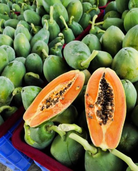 青木瓜的功效与禁忌_孕妇能吃吗-第1张图片-山城妙识