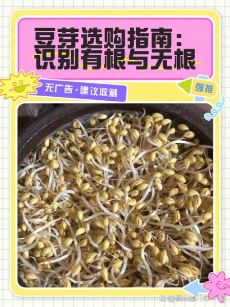 无根绿豆芽怎么种_无根绿豆芽几天能吃-第1张图片-山城妙识