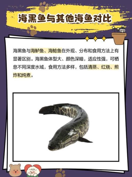海黑鱼的营养价值_海黑鱼的功效与作用-第1张图片-山城妙识 海黑鱼的营养价值_海黑鱼的功效与作用-第1张图片-山城妙识