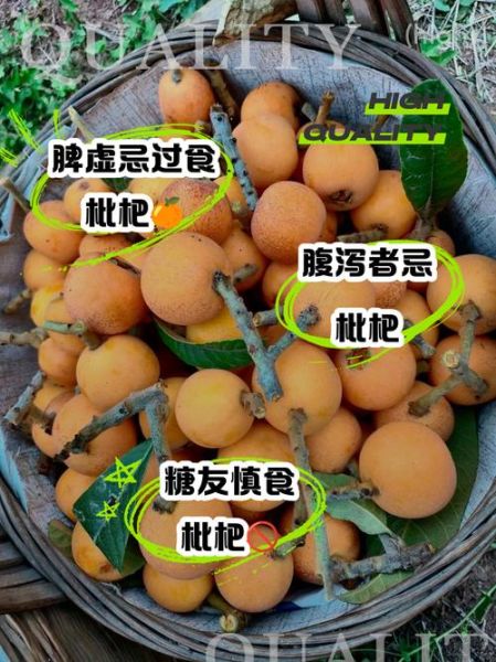 野枇杷果的功效与禁忌_哪些人不能吃-第3张图片-山城妙识