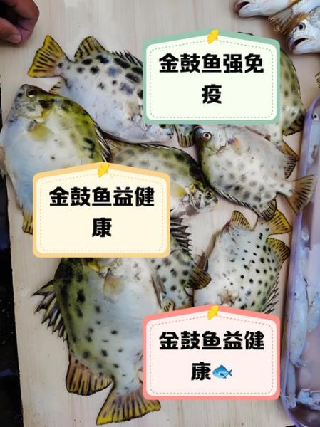 鱼的营养价值及功效与作用_吃鱼真的会变聪明吗-第3张图片-山城妙识 鱼的营养价值及功效与作用_吃鱼真的会变聪明吗-第3张图片-山城妙识