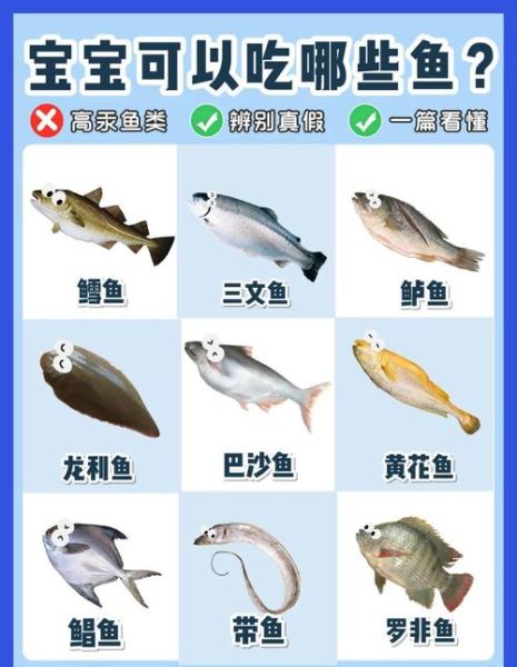 鱼的营养价值及功效与作用_吃鱼真的会变聪明吗-第1张图片-山城妙识 鱼的营养价值及功效与作用_吃鱼真的会变聪明吗-第1张图片-山城妙识