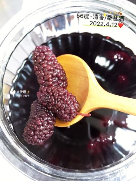 干桑葚酒的做法比例_桑葚酒泡多久可以喝-第2张图片-山城妙识 干桑葚酒的做法比例_桑葚酒泡多久可以喝-第2张图片-山城妙识