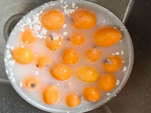 枇杷膏怎么熬制_枇杷膏熬制多长时间-第3张图片-山城妙识