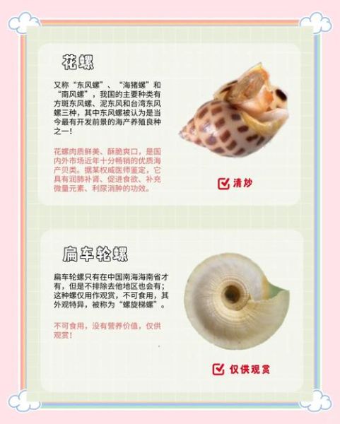 哪些螺不能吃_有毒螺类识别方法-第1张图片-山城妙识