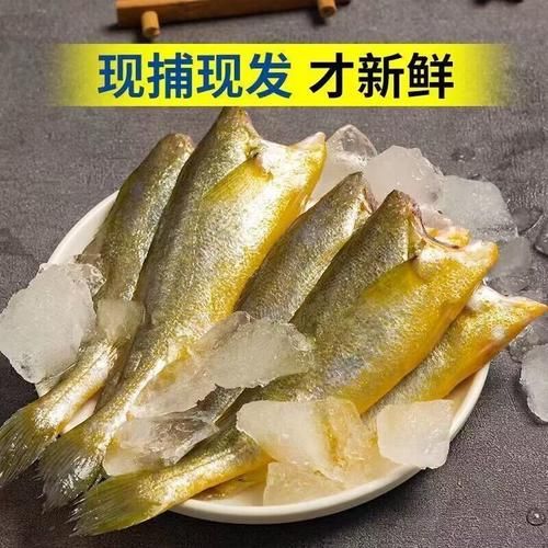 小黄鱼刺多吗_适合宝宝吃吗-第3张图片-山城妙识