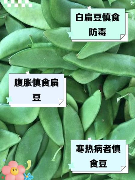 白扁豆不能和什么一起吃_白扁豆哪些人不能吃-第2张图片-山城妙识