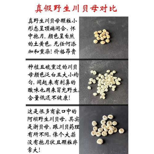 川贝粉能直接冲水喝吗_川贝粉的正确服用方法-第1张图片-山城妙识 川贝粉能直接冲水喝吗_川贝粉的正确服用方法-第1张图片-山城妙识