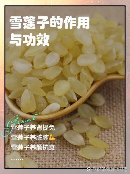 雪莲子怎么煮_雪莲子功效与作用-第1张图片-山城妙识