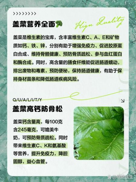 盖菜的营养价值_盖菜的功效与作用-第1张图片-山城妙识 盖菜的营养价值_盖菜的功效与作用-第1张图片-山城妙识