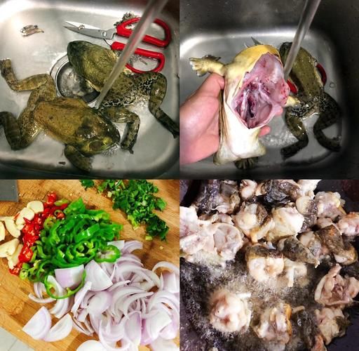 红烧牛蛙怎么做_川菜红烧牛蛙的做法步骤-第1张图片-山城妙识 红烧牛蛙怎么做_川菜红烧牛蛙的做法步骤-第1张图片-山城妙识