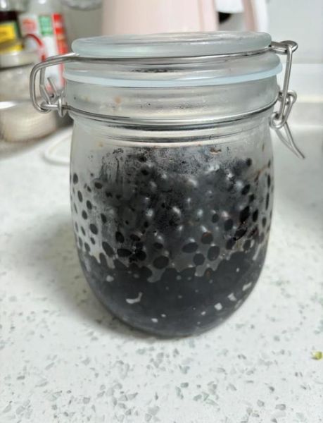 醋泡黑豆治白发吃多久_多久见效-第3张图片-山城妙识 醋泡黑豆治白发吃多久_多久见效-第3张图片-山城妙识