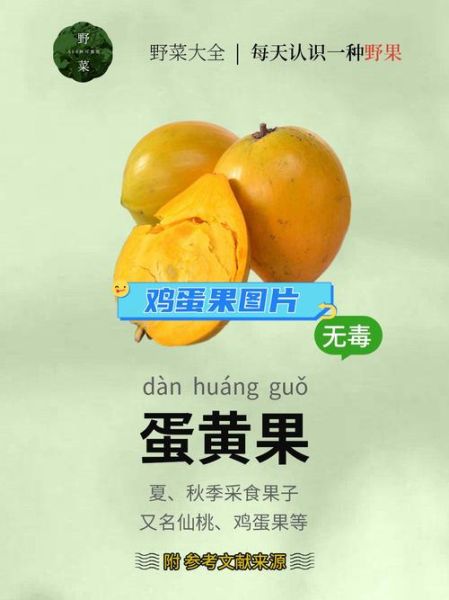 蛋黄果孕妇可以吃吗_孕期吃蛋黄果注意事项-第3张图片-山城妙识