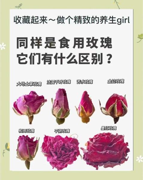 玫瑰花茶一次放几朵_玫瑰花茶用量多少合适-第2张图片-山城妙识 玫瑰花茶一次放几朵_玫瑰花茶用量多少合适-第2张图片-山城妙识