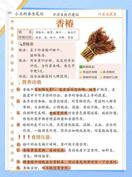 香椿的功效与作用及食用方法_香椿怎么吃才健康-第1张图片-山城妙识 香椿的功效与作用及食用方法_香椿怎么吃才健康-第1张图片-山城妙识