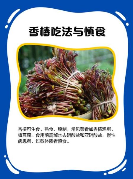 香椿的功效与作用及食用方法_香椿怎么吃才健康-第3张图片-山城妙识 香椿的功效与作用及食用方法_香椿怎么吃才健康-第3张图片-山城妙识