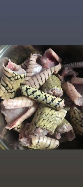 蛇鱼怎么做好吃_蛇鱼的做法大全-第1张图片-山城妙识