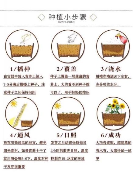 腊梅种子怎么种_腊梅种子多久发芽-第2张图片-山城妙识 腊梅种子怎么种_腊梅种子多久发芽-第2张图片-山城妙识