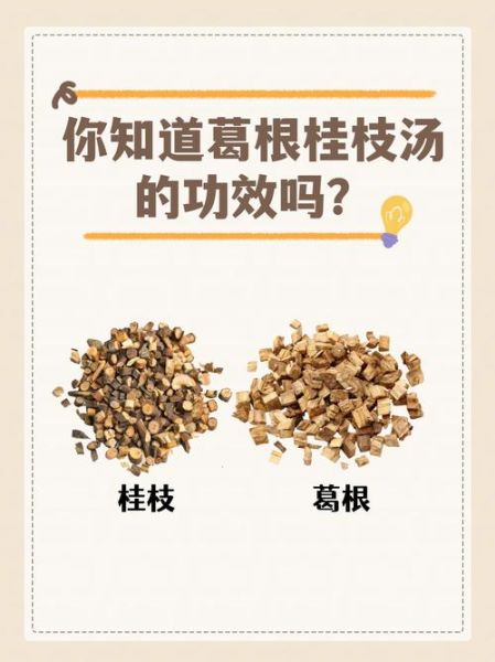 葛根汤配方_葛根汤怎么喝-第3张图片-山城妙识