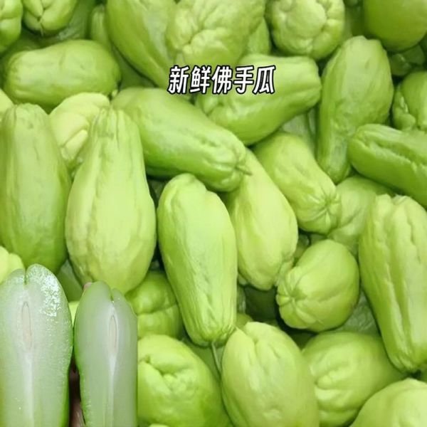 佛手瓜图片怎么拍好看_佛手瓜高清图片哪里找-第3张图片-山城妙识