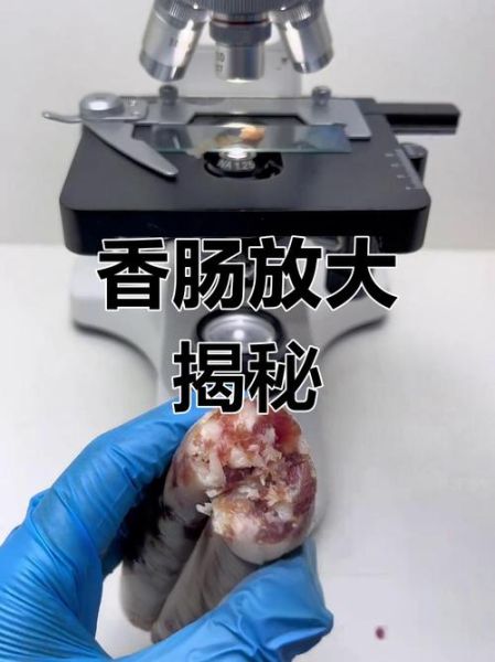 火腿肠制作过程_到底有多恶心-第1张图片-山城妙识
