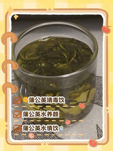 蒲公英干泡水喝的功效与作用_蒲公英的禁忌有哪些-第2张图片-山城妙识 蒲公英干泡水喝的功效与作用_蒲公英的禁忌有哪些-第2张图片-山城妙识