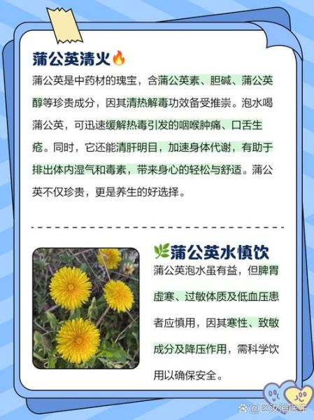 蒲公英干泡水喝的功效与作用_蒲公英的禁忌有哪些-第1张图片-山城妙识 蒲公英干泡水喝的功效与作用_蒲公英的禁忌有哪些-第1张图片-山城妙识