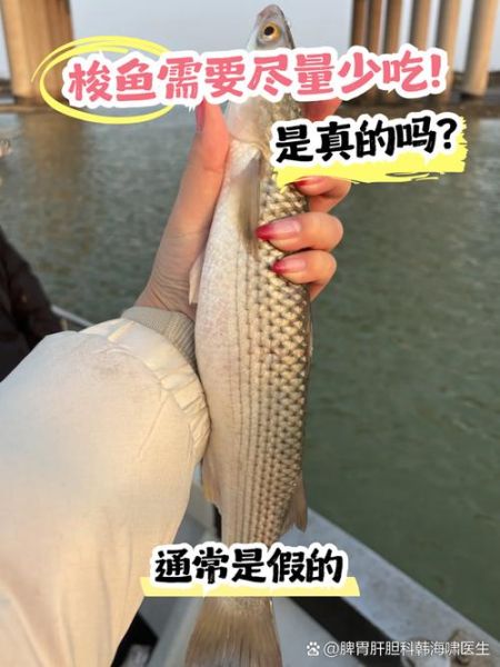 梭鱼长什么样子_梭鱼有毒吗-第3张图片-山城妙识