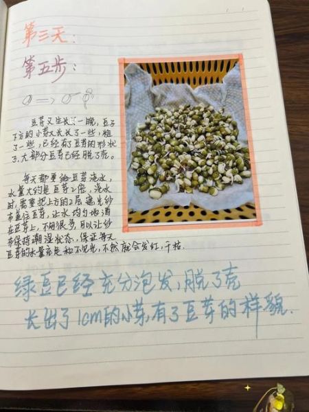 豆芽菜的爱歌词含义_为什么豆芽菜的爱这么火-第1张图片-山城妙识 豆芽菜的爱歌词含义_为什么豆芽菜的爱这么火-第1张图片-山城妙识