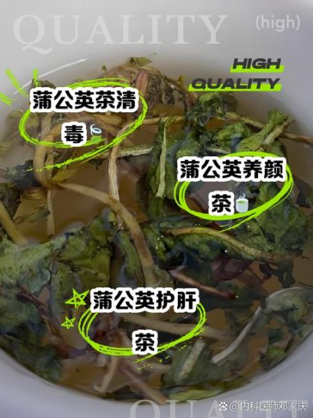 蒲公英干泡水喝的功效与作用_蒲公英的禁忌有哪些-第3张图片-山城妙识 蒲公英干泡水喝的功效与作用_蒲公英的禁忌有哪些-第3张图片-山城妙识