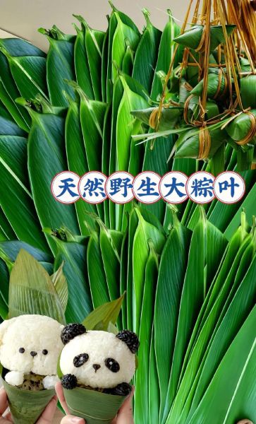 广东粽叶是什么叶子_广东包粽子用什么粽叶-第2张图片-山城妙识