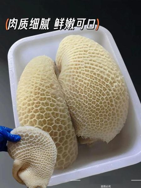 生牛肚怎么煮熟_牛肚煮多久才软烂-第2张图片-山城妙识 生牛肚怎么煮熟_牛肚煮多久才软烂-第2张图片-山城妙识