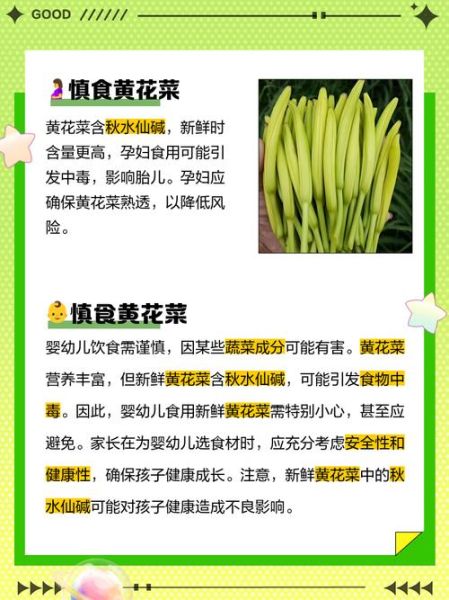 黄花菜不能和什么一起吃_黄花菜禁忌搭配有哪些-第2张图片-山城妙识