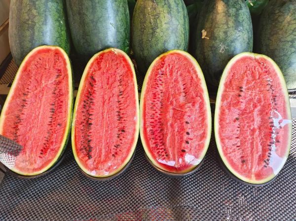 黑美人西瓜产地在哪里_黑美人西瓜哪里最正宗-第2张图片-山城妙识