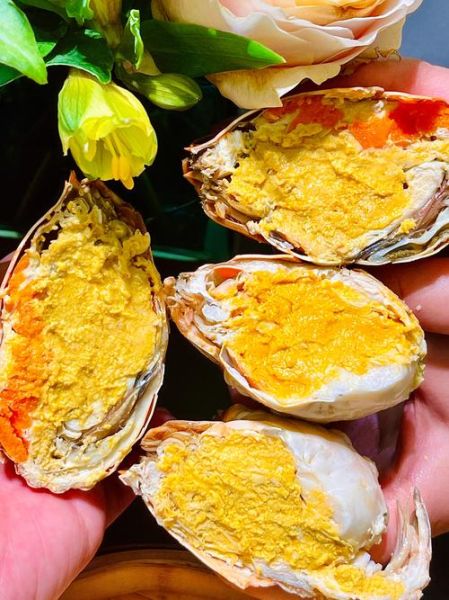 黄油蟹可以人工做出来吗_人工黄油蟹与野生区别-第1张图片-山城妙识 黄油蟹可以人工做出来吗_人工黄油蟹与野生区别-第1张图片-山城妙识