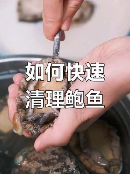 鲍鱼怎么杀_鲍鱼清洗去内脏步骤-第1张图片-山城妙识 鲍鱼怎么杀_鲍鱼清洗去内脏步骤-第1张图片-山城妙识