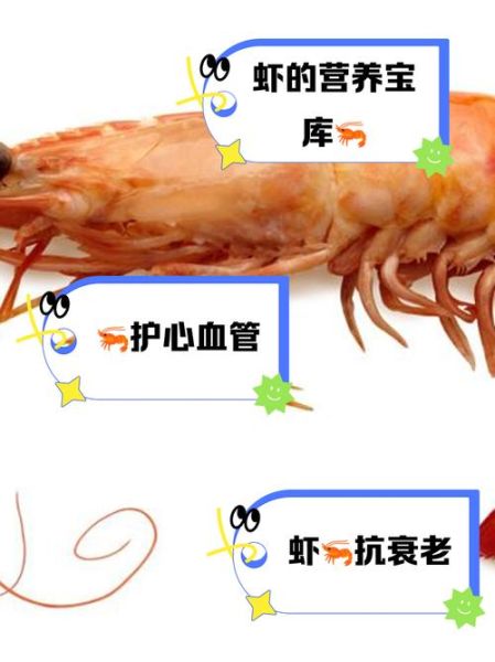 虾的营养价值及功效_吃虾有哪些好处-第1张图片-山城妙识