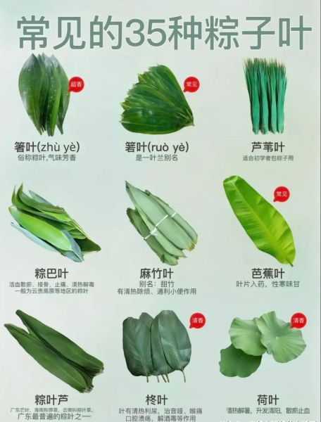 包粽子的叶子叫什么叶_粽叶种类与挑选技巧-第1张图片-山城妙识