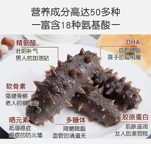 海参的功效与作用有哪些_海参怎么吃最营养-第3张图片-山城妙识