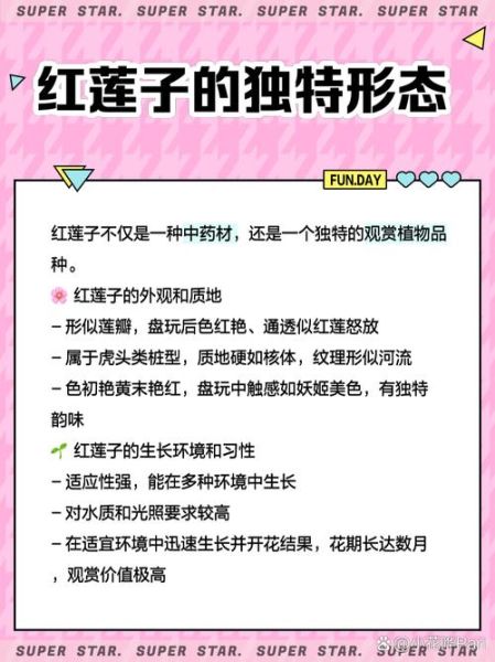 红莲子怎么吃_红莲子食用方法-第2张图片-山城妙识 红莲子怎么吃_红莲子食用方法-第2张图片-山城妙识