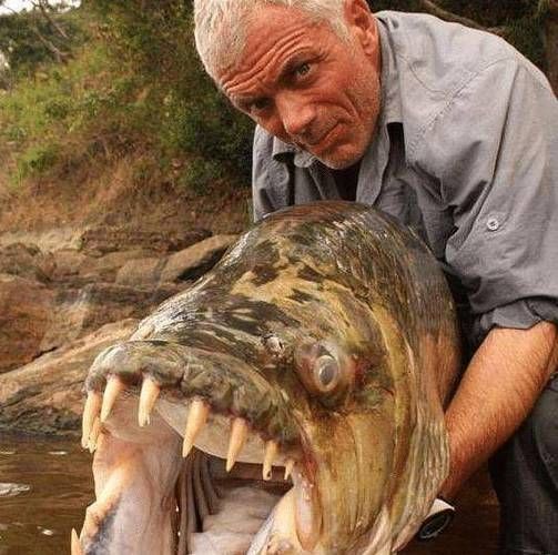 人鳗七鳃鳗男主原型是谁_真实身份揭秘-第3张图片-山城妙识