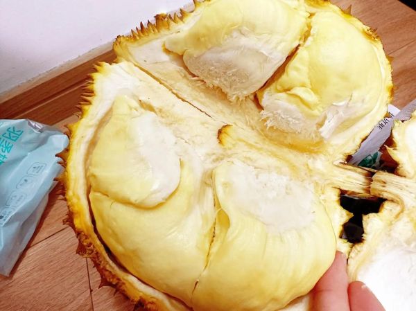 吃榴莲会长胖吗_榴莲热量高吗-第2张图片-山城妙识 吃榴莲会长胖吗_榴莲热量高吗-第2张图片-山城妙识